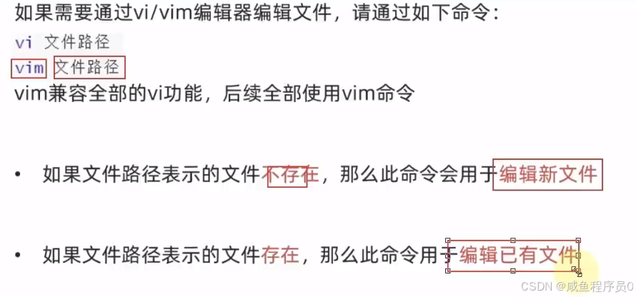 Linux_linux csdn-CSDN博客