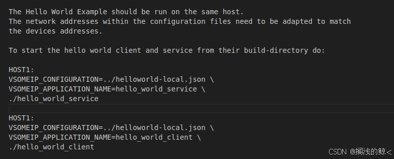 SOMEIP使用记录_vsomeip github-CSDN博客