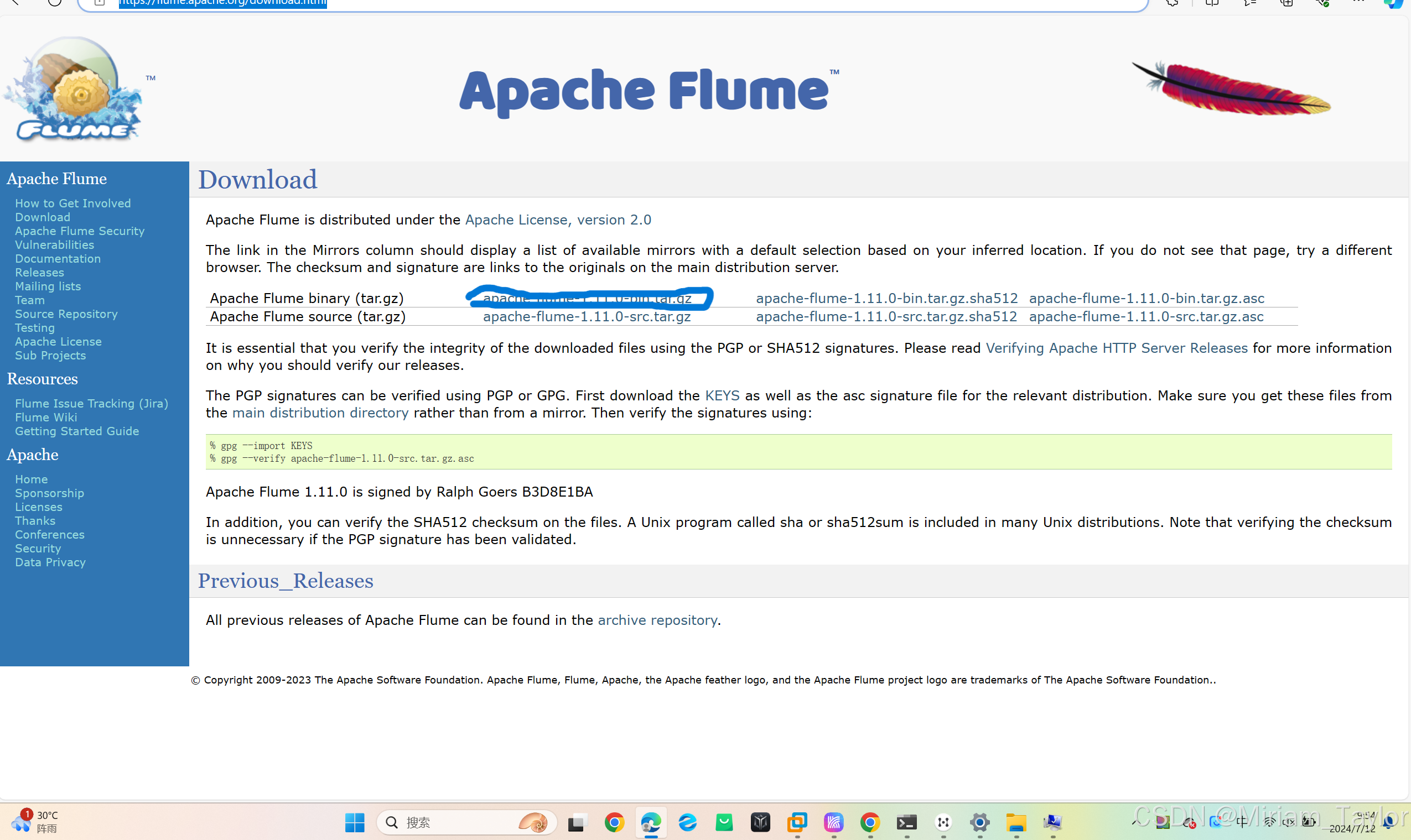 windows下flume的安装与配置教程_flume windows安装-CSDN博客