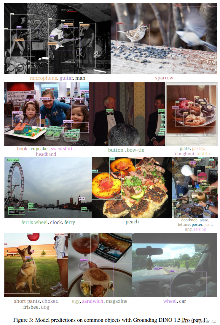 Grounding DINO 1.5: Advance the “Edge” of Open-Set Object Detection——推动开放集目标检测的“边缘”-CSDN博客