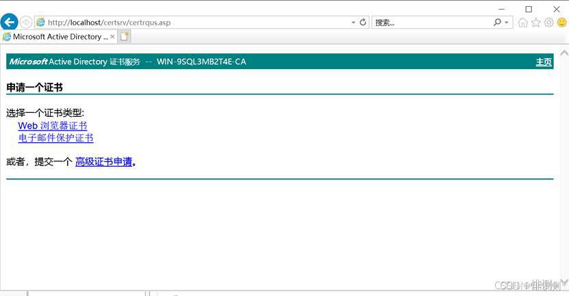 Windows11 IIS+DNS搭建ssl证书网站_win11 ssl证书-CSDN博客