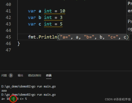 golang语言_mac系统搭建开发环境_VSCode开发go配置_定义变量_fmt包_print_printlan_printf_go语言注释---go语言工作笔记002_mac ...