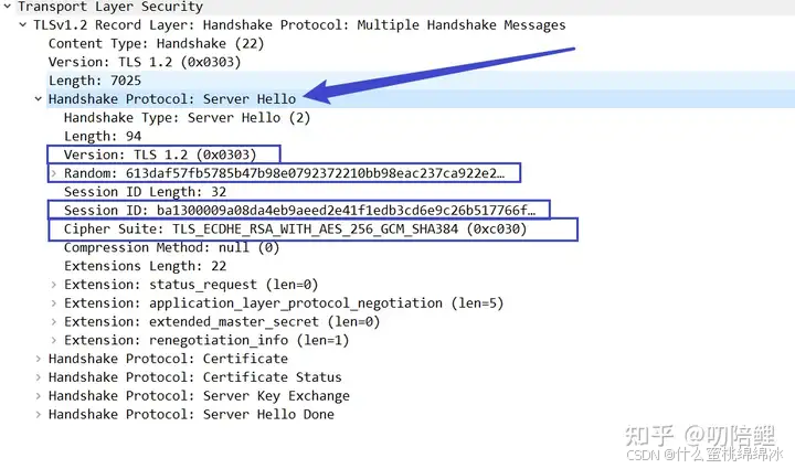 TLS的前世今生：从握手到加密的秘密之旅_tls版本-CSDN博客
