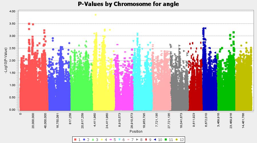 各种GWAS分析软件以及教程_blupf90软件进行随机回归gwas分析的流程-CSDN博客