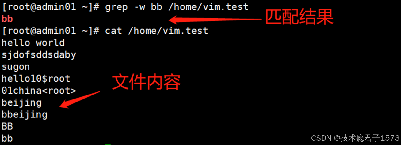 Linux系统shell程序设计（五）-grep命令详解（理论+实战）_linux shell grep-CSDN博客