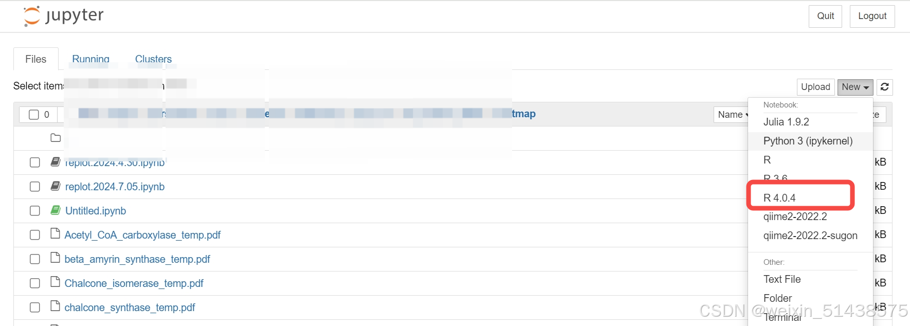 如何在超算计算节点使用jupyter notebook 及如何添加R和conda 环境到jupyter notebook_超算申请jupyter-CSDN博客