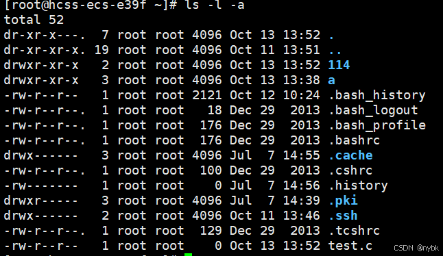 Linux系统：Linux的基本指令（1）_linux ls rf-CSDN博客
