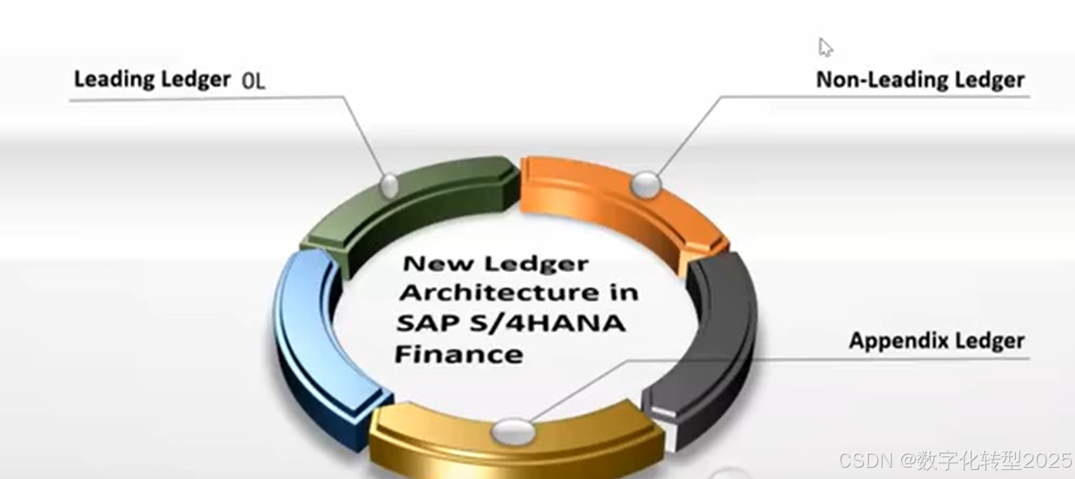 SAP Parallel Accounting(平行分类账业务)配置及操作手册【适用于多国家会计准则】_sap平行分类账配置-CSDN博客