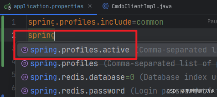 SpringBoot配置文件_springboot 3 spring-boot-starter-oauth2-client-CSDN博客