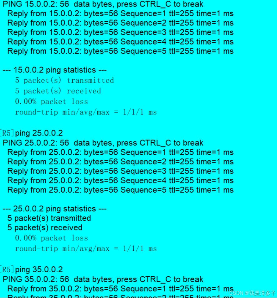 Rip环境下的MGRE实验-CSDN博客