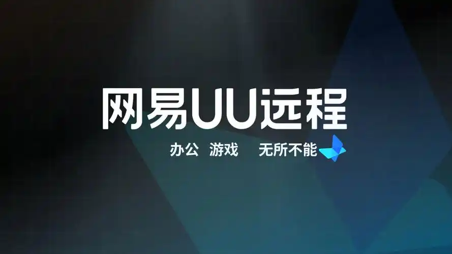 UU远程：4K超清零卡顿，文件秒传多屏控，隐私安全特省心！-CSDN博客