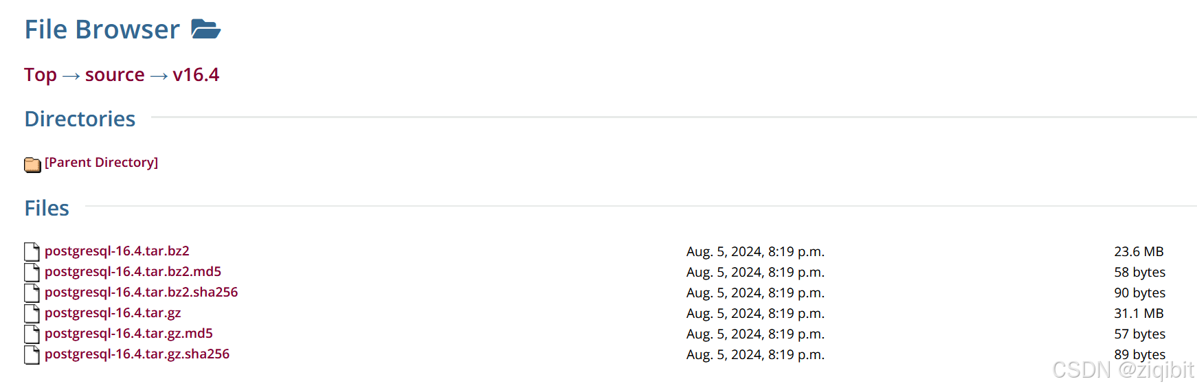 PostgreSQL15 16 编译安装+问题解决_pg编译安装-CSDN博客