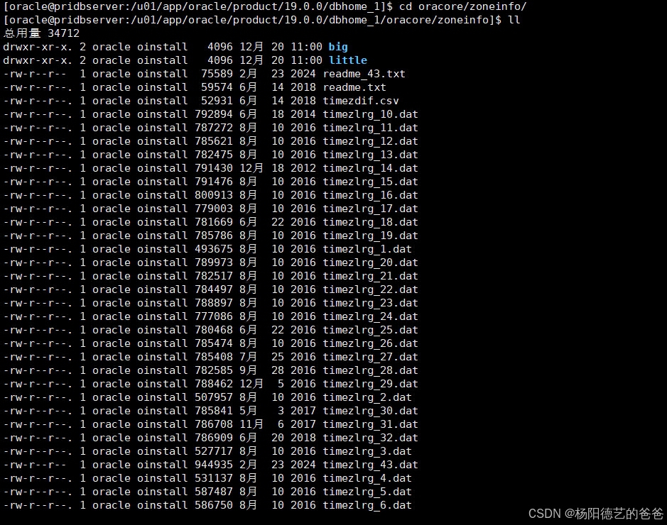 【ORACL 19C 时区版本升级DSTV32-DSTV43（ORA-39405）】_43补丁-CSDN博客