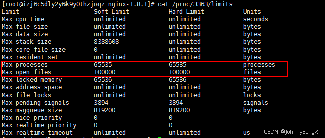 Thanos错误:Accept error: accept tcp [::]:19194: accept4: too many open files； retrying in 1s ...