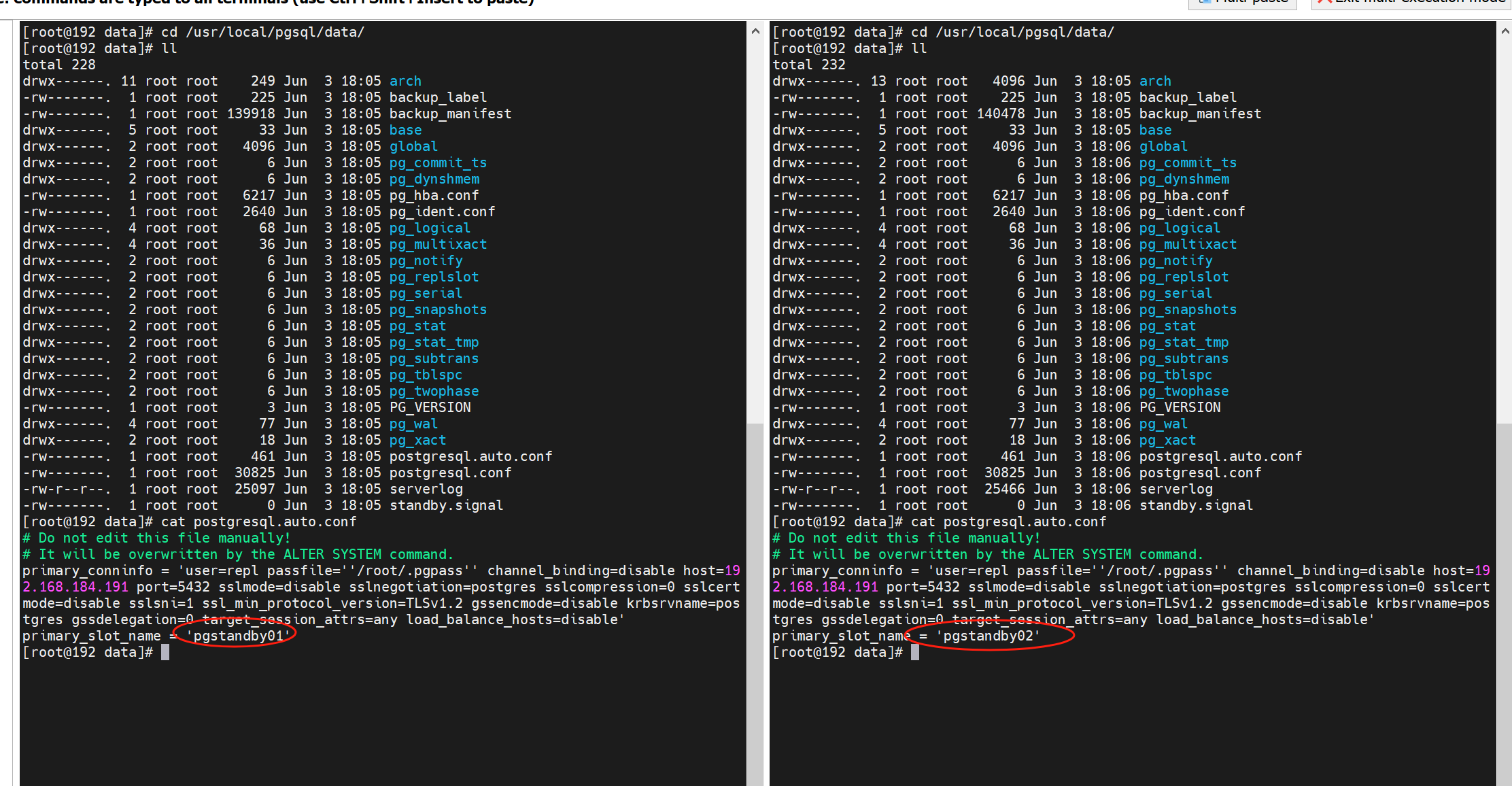 PostgreSQL【高可用篇】01：PostgreSQL17.5版本【宿主机】主从复制搭建_postgresql 高可用-CSDN博客