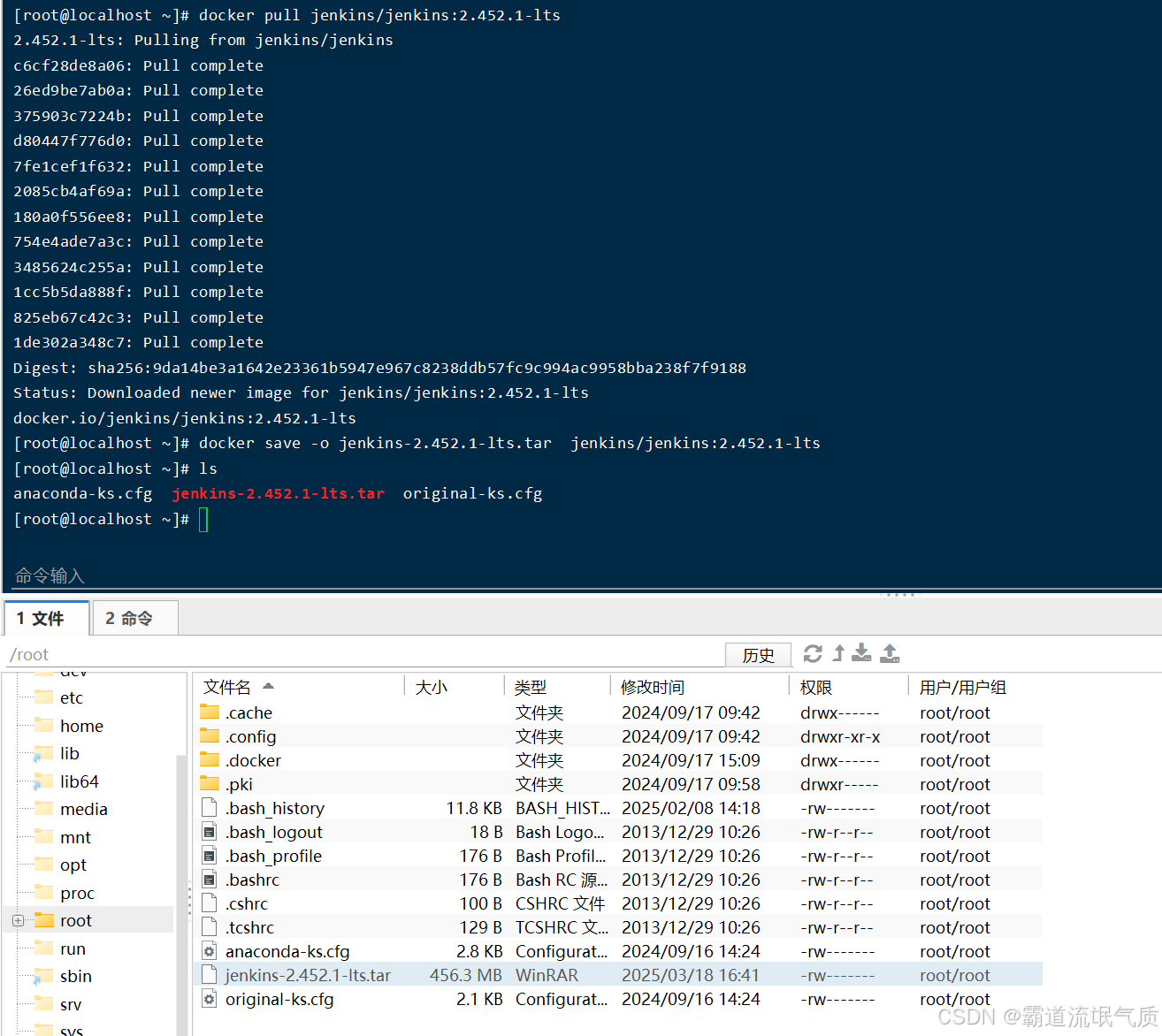 Docker+DockerCompose实现部署jenkins,并实现jenkinsfile打包SpringBoot+Vue流水线项目过程详解、踩坑记录(附镜像资源、离线包资源下载 ...