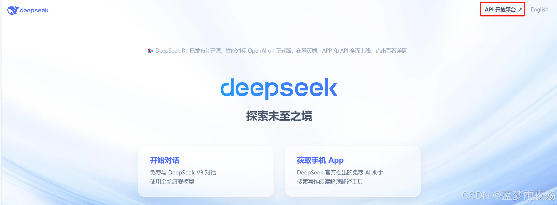 DeepSeek接入VScode和IDEA_idea cline-CSDN博客