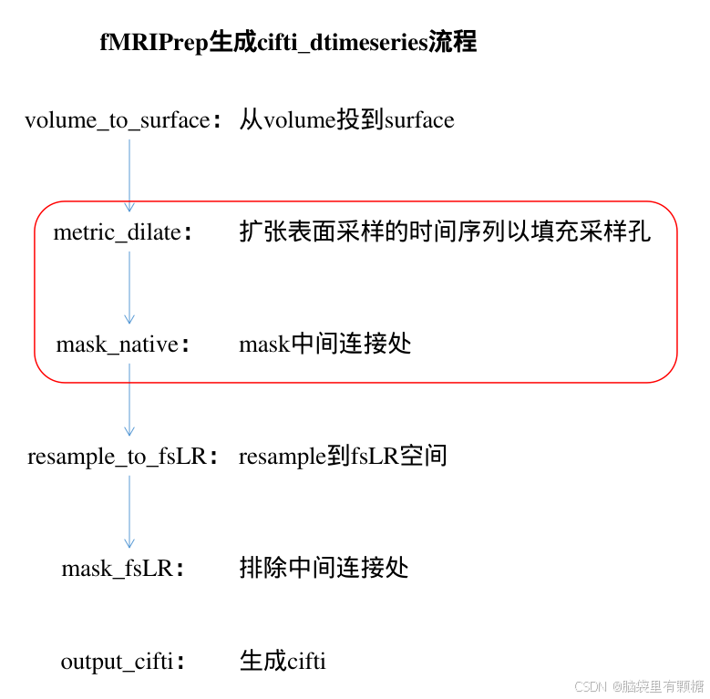 关于fMRIPrep的CIFTI_转fslr空间-CSDN博客