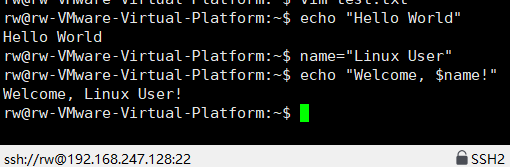 Linux命令速查：从echo到vim全攻略_通过管道符输入到vim-CSDN博客