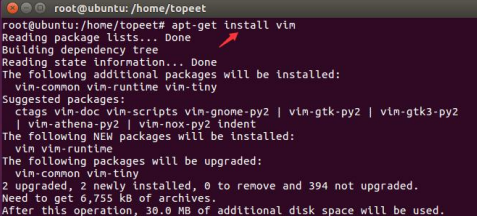 Linux入门篇学习——Ubuntu 使用 apt-get 下载_ubuntu apt-get-CSDN博客