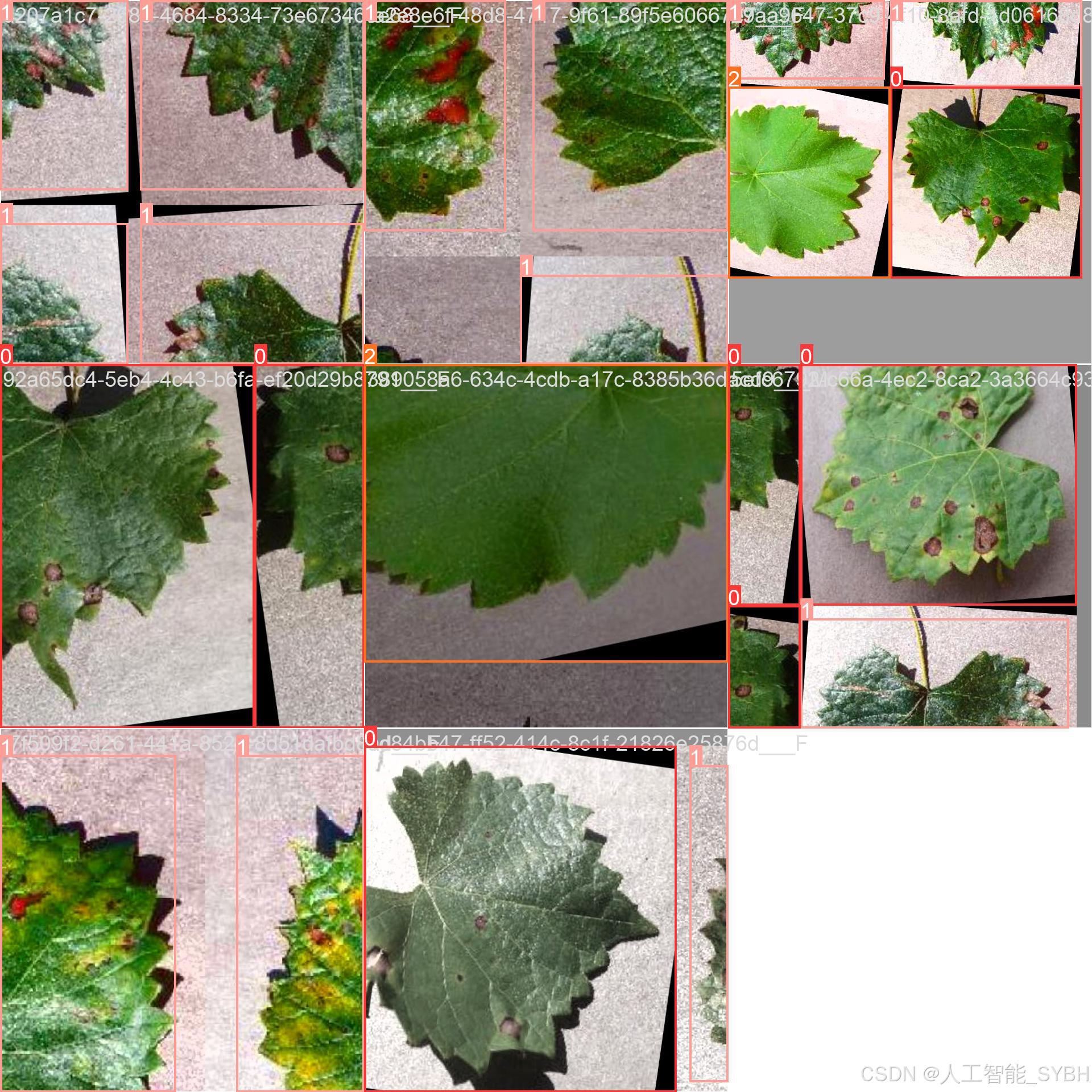 基于深度学习YOLOv10的葡萄叶片病害检测系统（YOLOv10+YOLO数据集+UI界面+Python项目源码+模型）_基于深度学习的葡萄叶部病害图像分类系统-CSDN博客