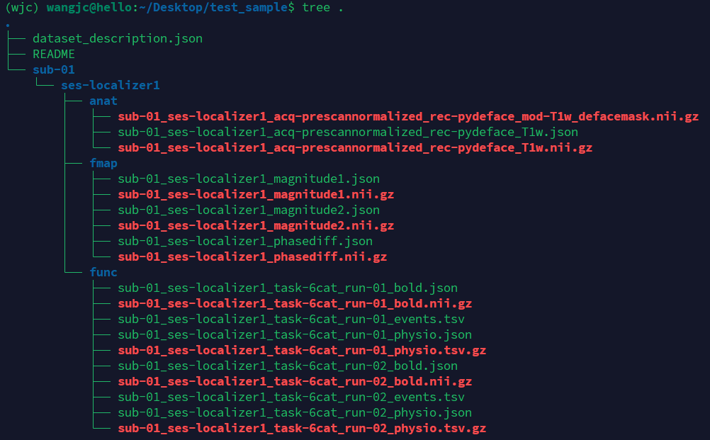 【DeepPrep从入门到入土】第二章 详细使用教程(MRI数据预处理,Freesurfer,FSL,AFNI,spm）-CSDN博客