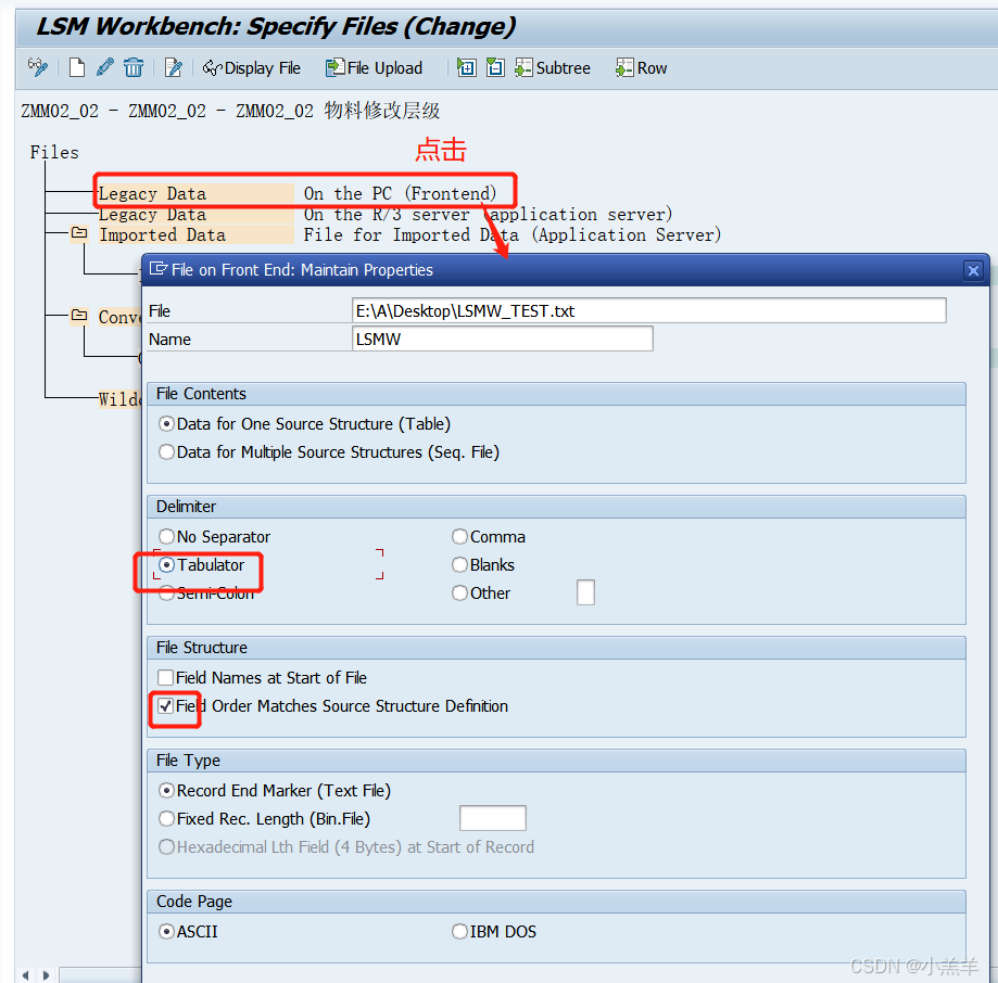 SAP-LSMW 批量录入_lsmw物料主数据批量导入-CSDN博客