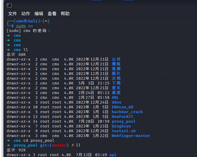 在 Kali Linux 中使用zsh shell以及开机执行.sh（保姆级）花式使用技巧_zsh设置成默认shell-CSDN博客