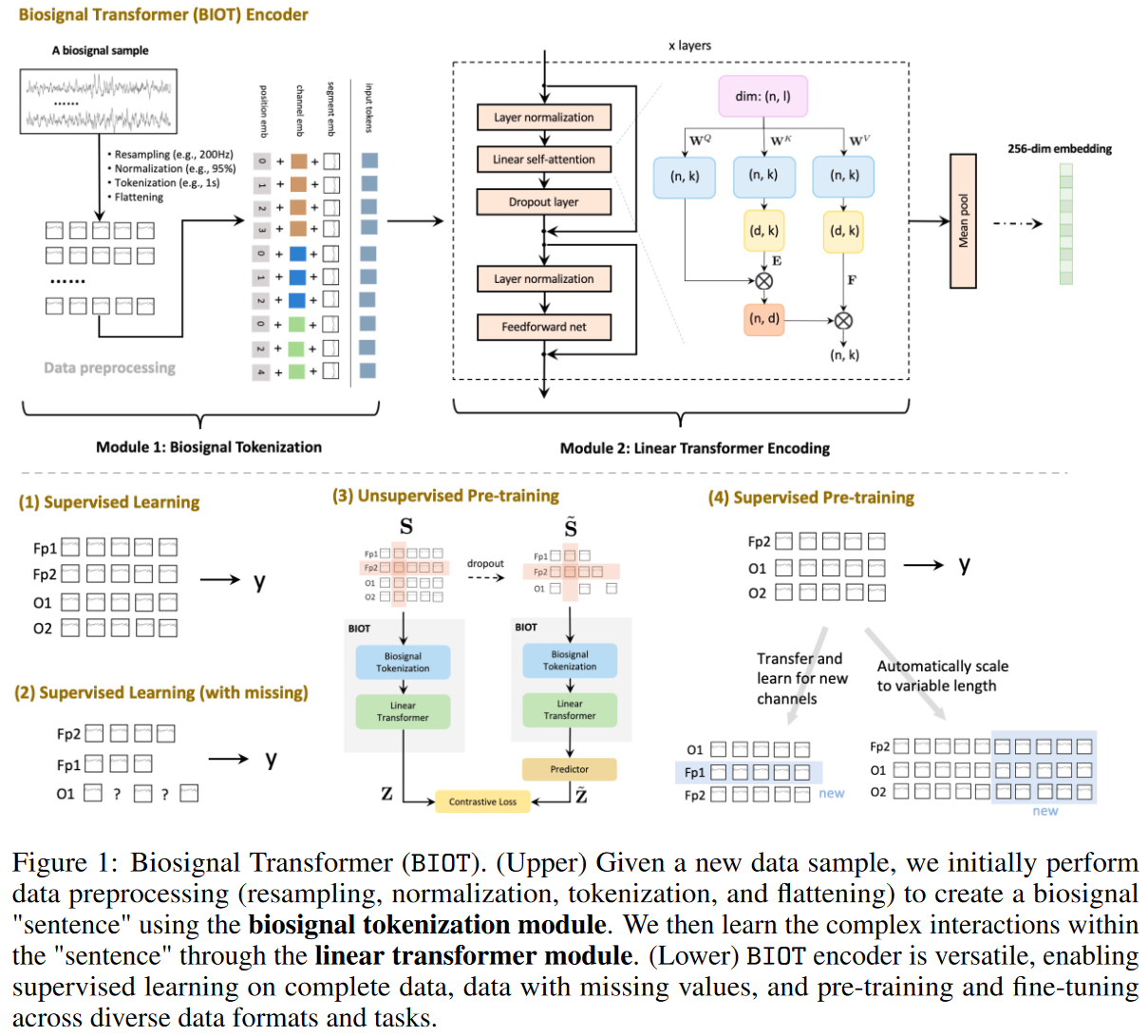 【论文笔记】BIOT: Biosignal Transformer for Cross-data Learning in the Wild ...