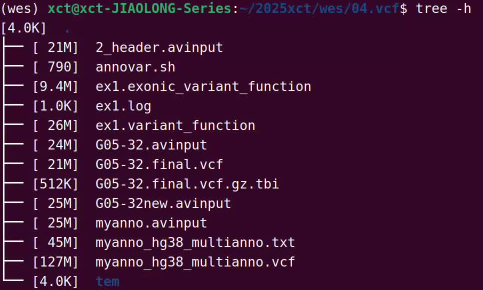 WES实战——全流程-CSDN博客