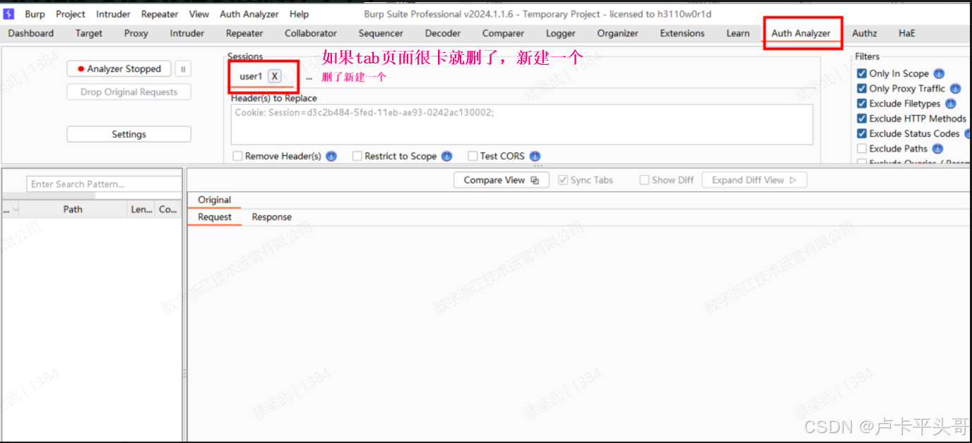 AuthAnalyzer使用说明_auth analyzer-CSDN博客