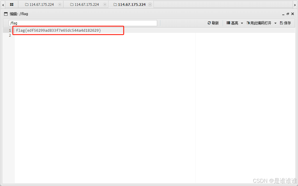 【Bugku--文件上传】轻松拿flag_bugku 文件上传-CSDN博客