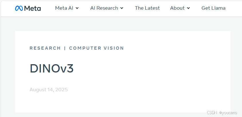【DINOv3】DINOv3 技术报告-CSDN博客