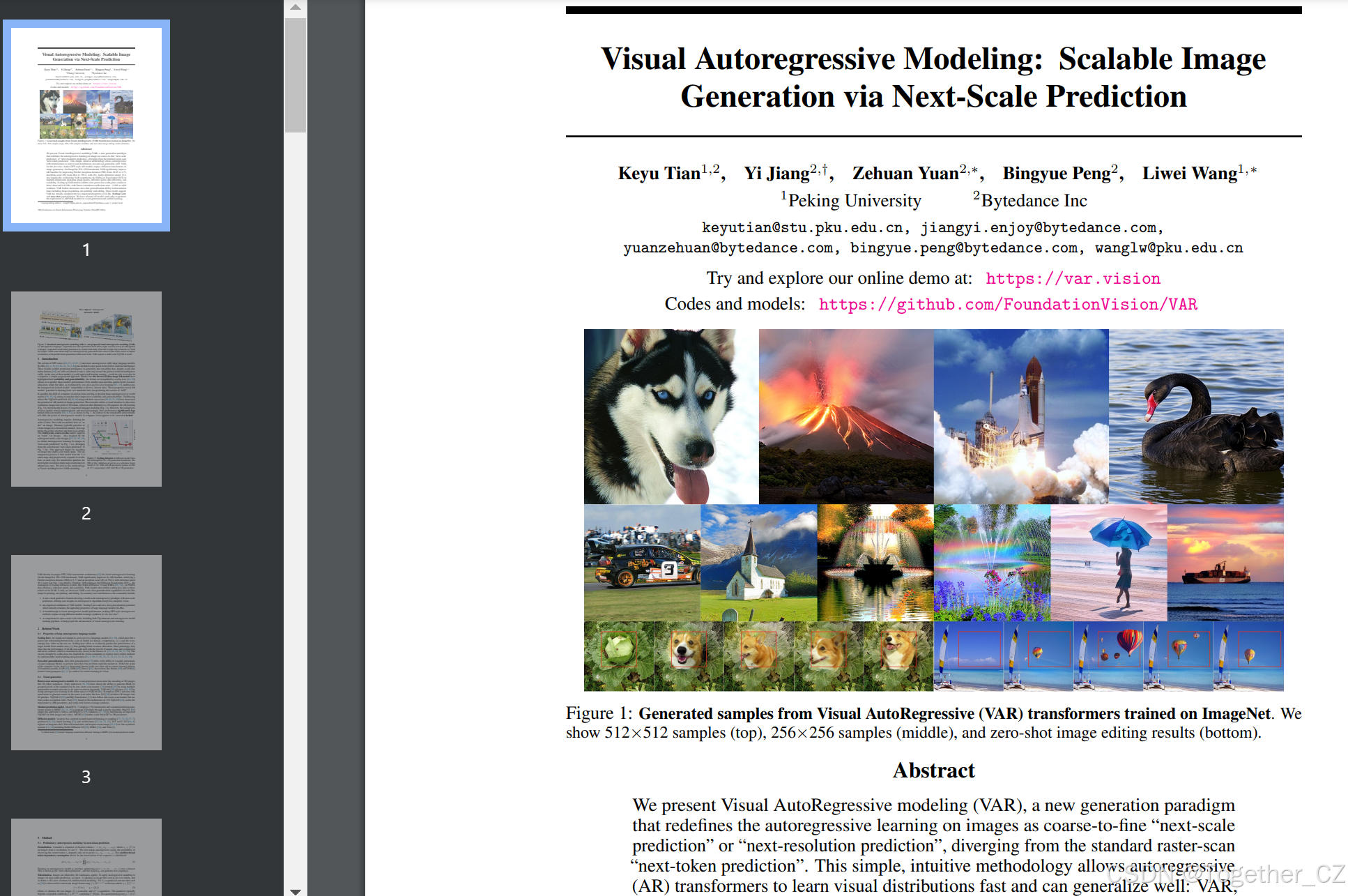 Visual Autoregressive Modeling: Scalable ImageGeneration via Next-Scale Prediction——视觉自回归建模 ...