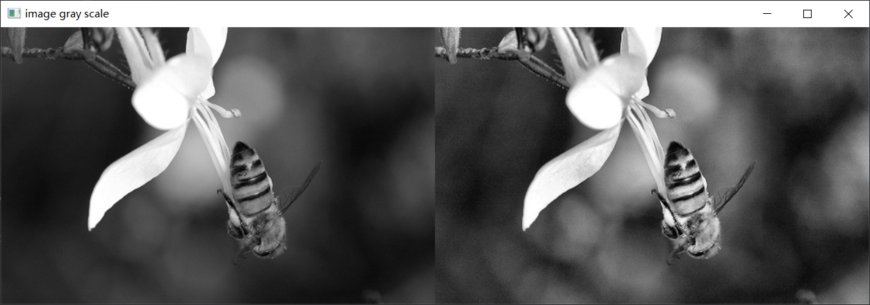 opencv基础使用（六）：利用pycharm+opencv进行图像灰度变换_opencv python 灰度变换-CSDN博客