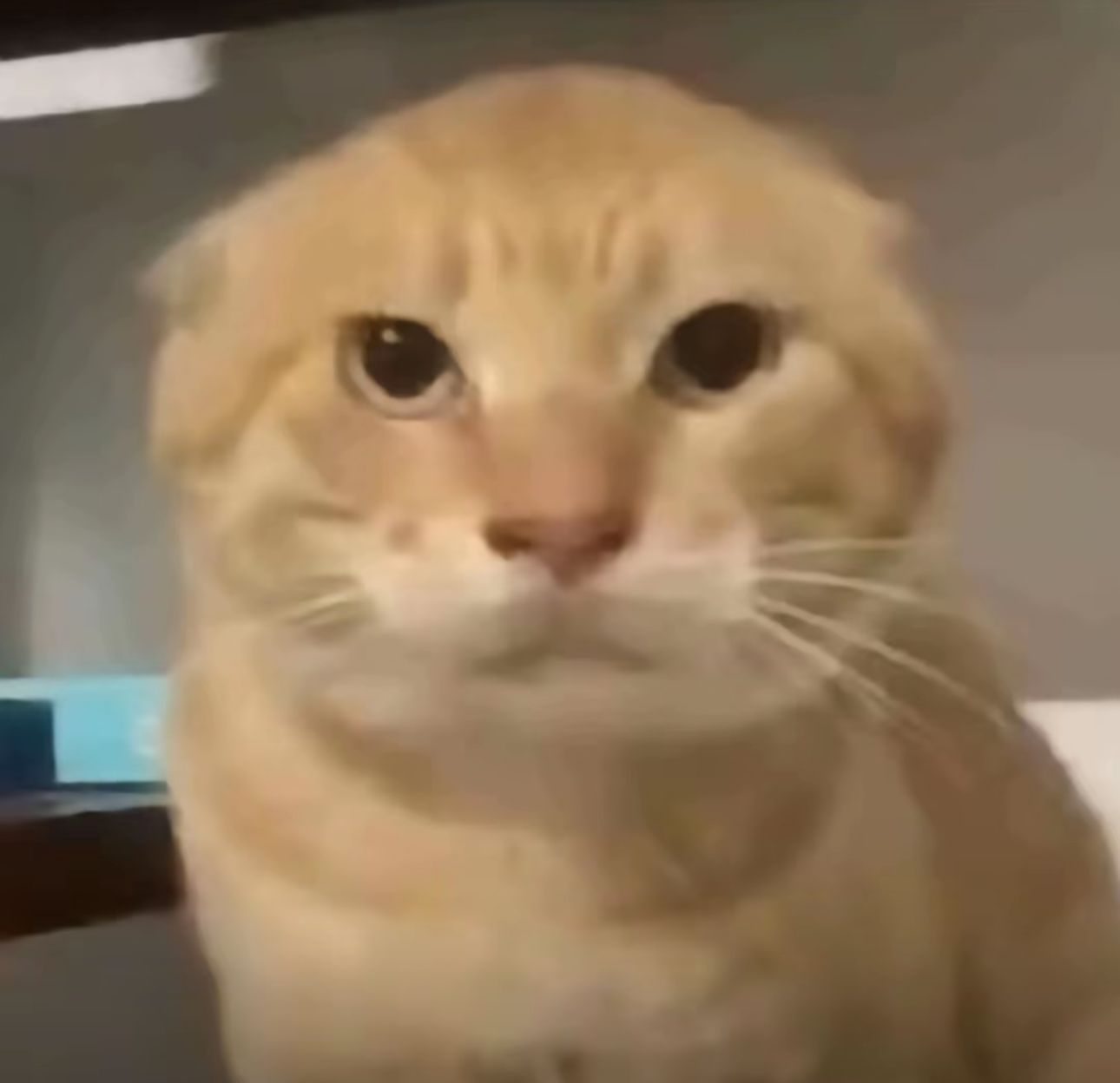 【01BFS】概念讲解 && 解法 && 例题讲解：P4554小明的游戏-CSDN博客