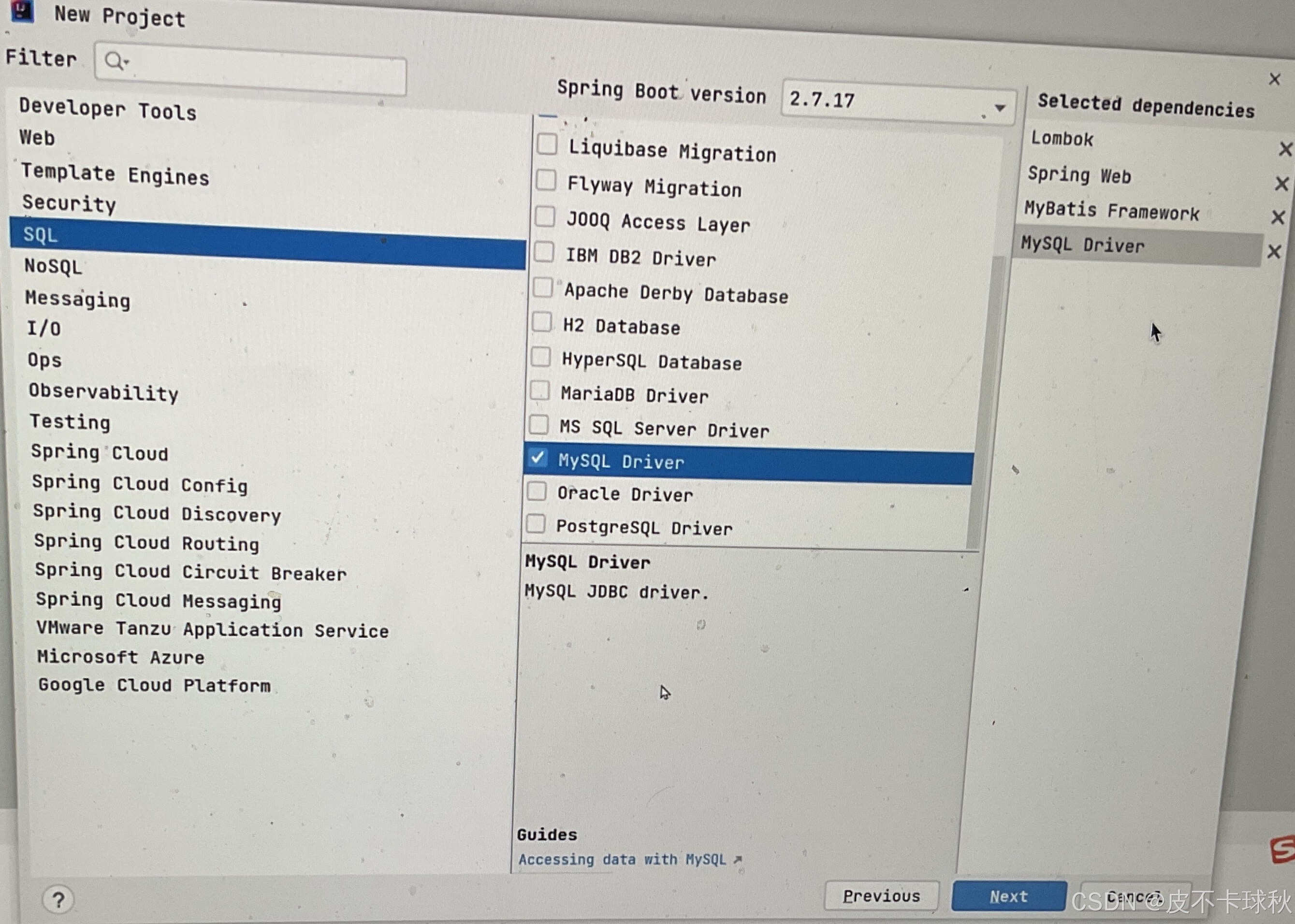 Mybatis_mybatis 链接url-CSDN博客