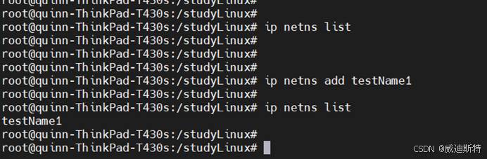 Linux网络命令： 系统中用于管理网络命名空间的命令ip netns详解-CSDN博客