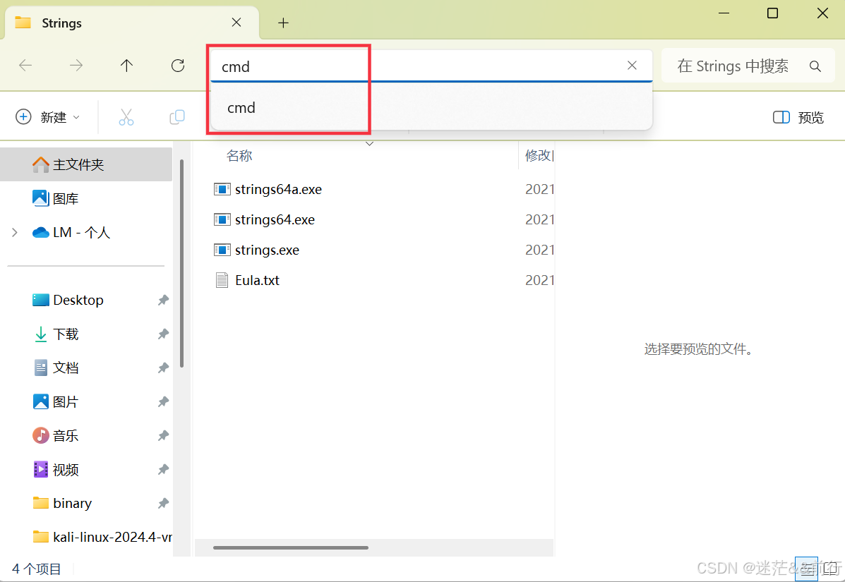 ctf工具-strings的安装和使用_strings工具-CSDN博客