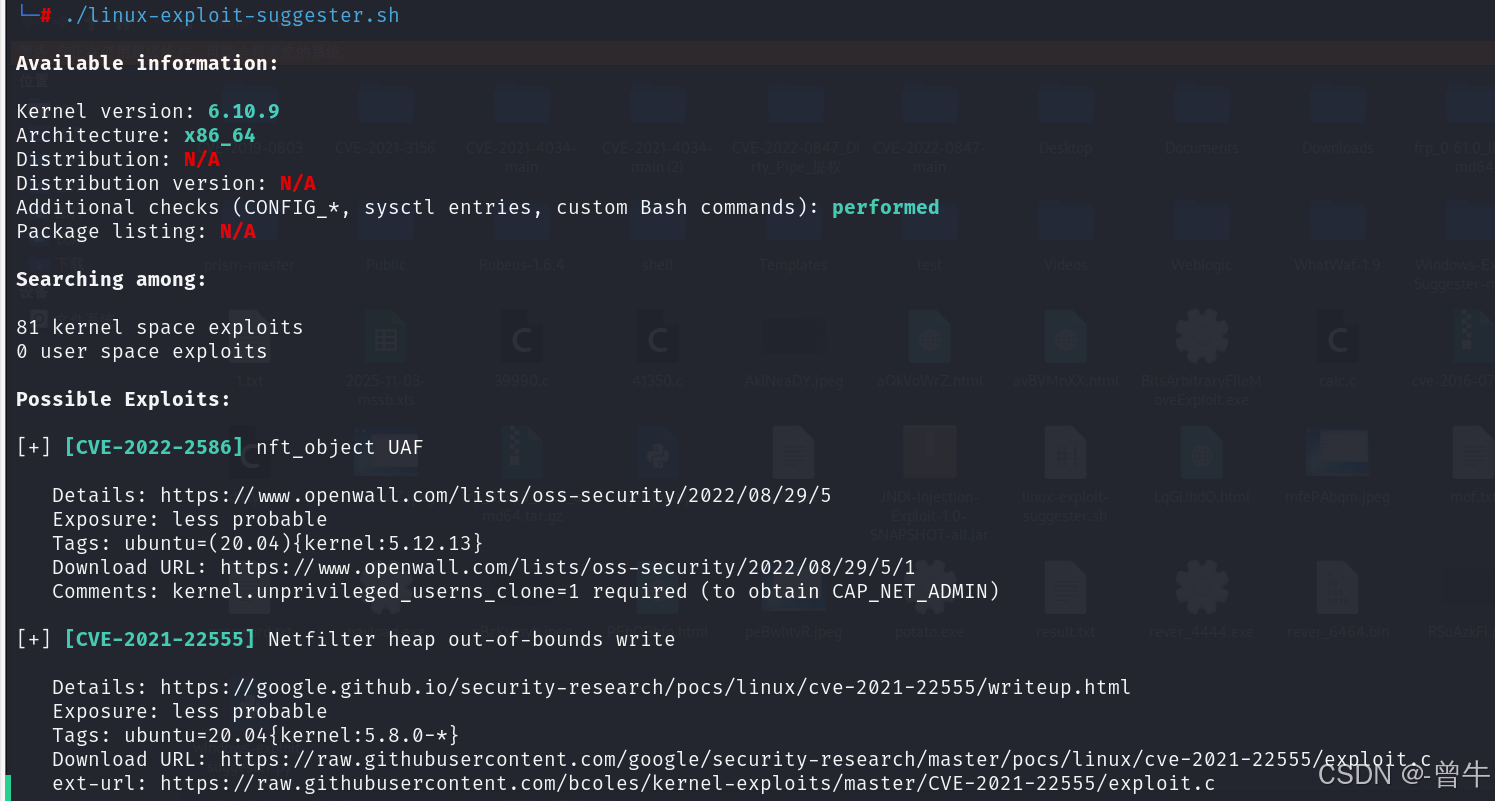 Linux提权完整指南：从思路到实战全解析-CSDN博客