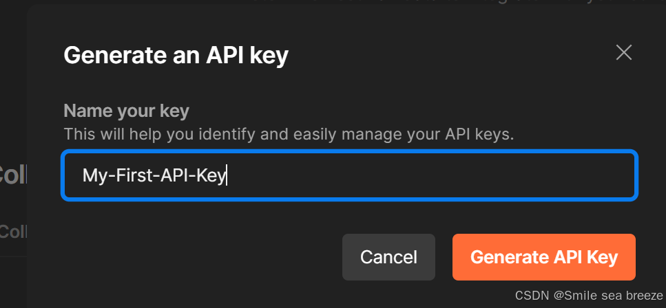 Postman 中生成 API 密钥（Postman API Key）的实现步骤-CSDN博客
