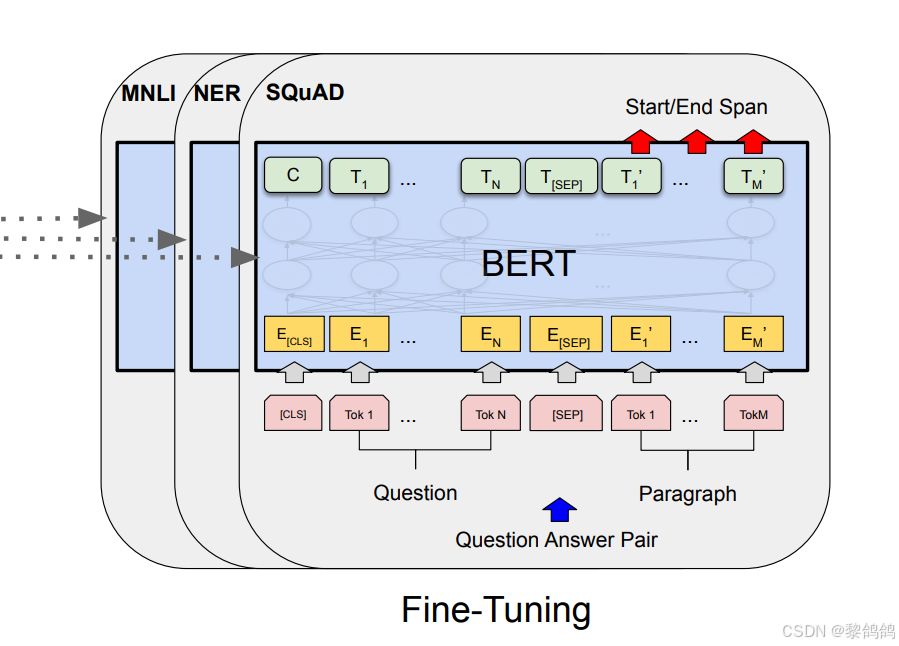 【基础模型】BERT架构_bert模型两个训练方法-CSDN博客