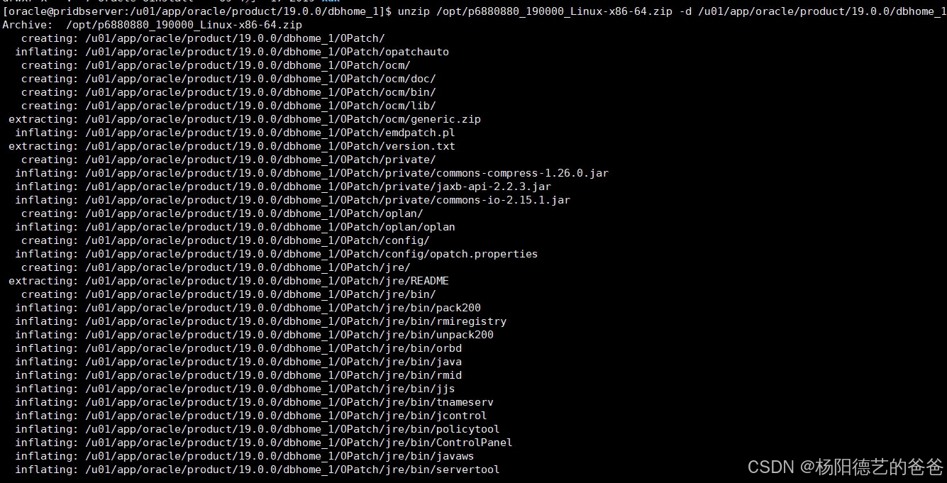 【ORACL 19C 时区版本升级DSTV32-DSTV43（ORA-39405）】_43补丁-CSDN博客