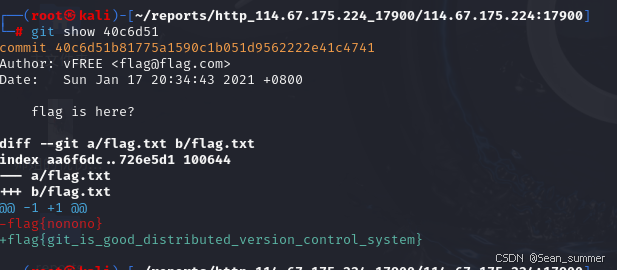 1.8学习记录（kali的dirsearch安装使用）_kali dirsearch-CSDN博客