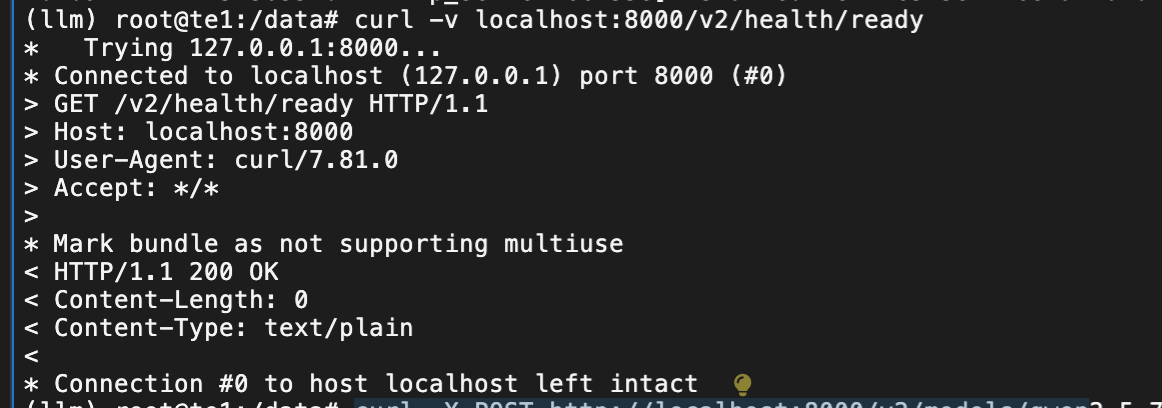 Triton + TensorRT 推理模型部署 _triton inference server-CSDN博客