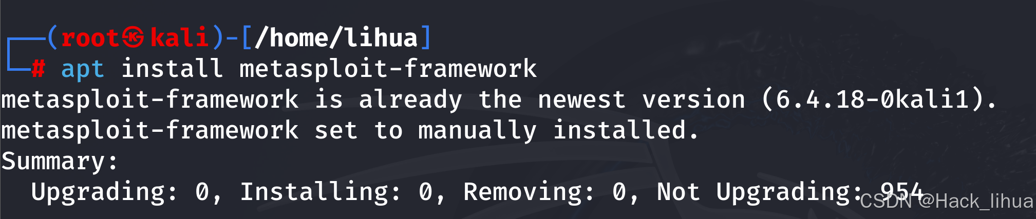 kali linux安装msf_kali安装msf-CSDN博客