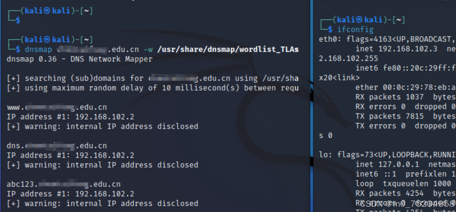 dnsenum、traceroute、dnsmap实验_dnsenum、dnsmap、dnsrecon实战-CSDN博客