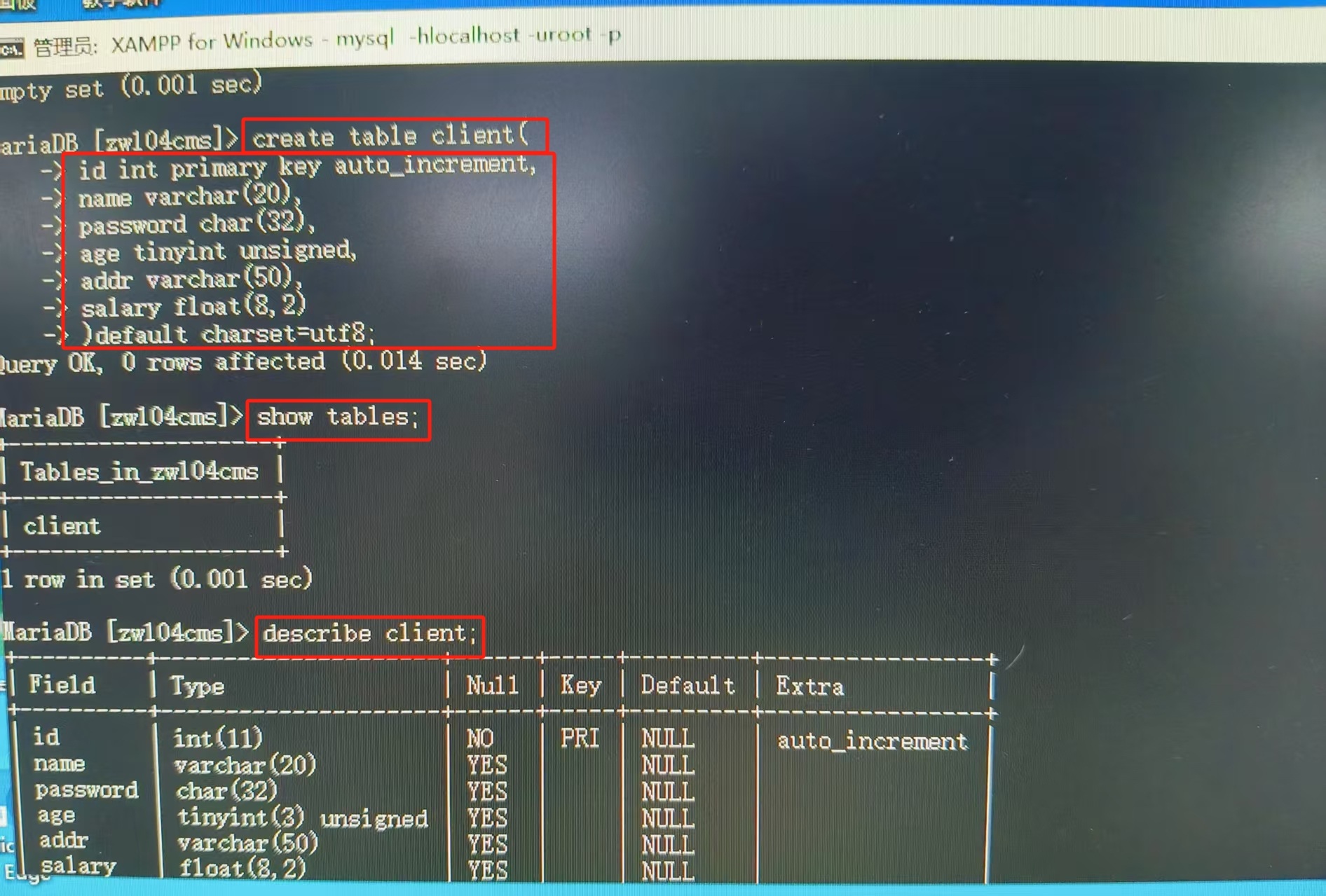 XAMPP+MySQL数据导入导出完整流程(后端已配置）_xampp数据库使用教程-CSDN博客