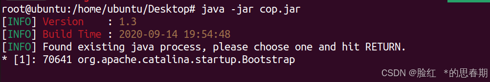 应急响应—内存马排查与查杀_内存马查杀-CSDN博客