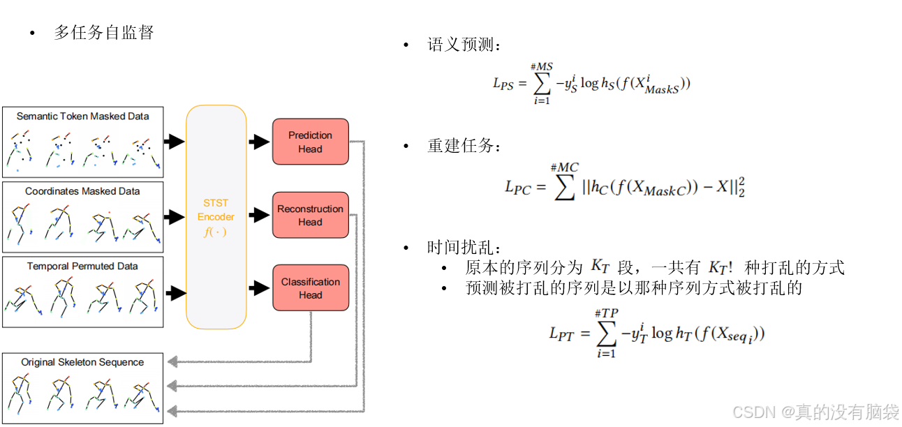 Spatial-Temporal Specialized Transformer for Skeleton-based Action Recognition-CSDN博客